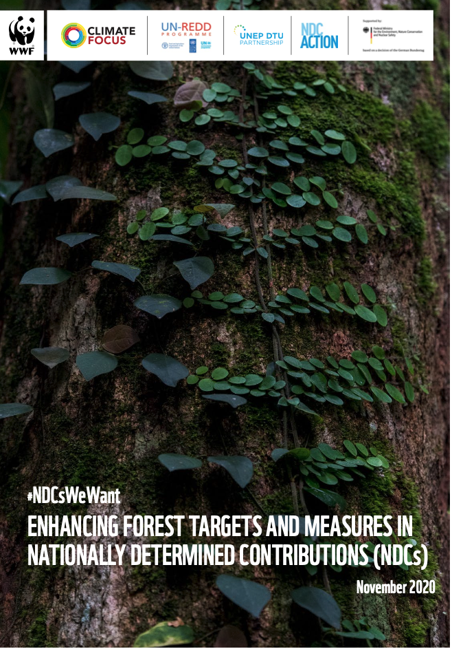 Enhancing Forest Targets and Measures in Nationally Determined Contributions | Climate and Forests